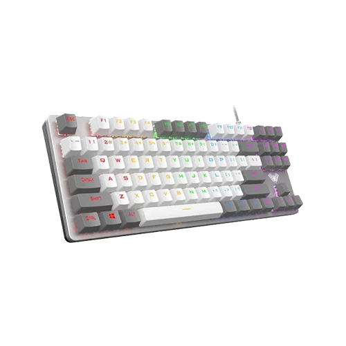 AULA F3287 TKL MECHANICAL GAMING KEYBOARD (GREY) price in bd | TECHLANDBD
