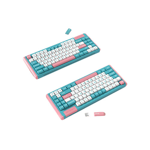 DUSTSILVER D84 CLASSICAL RETRO MECHANICAL KEYBOARD PRICE IN BD ...