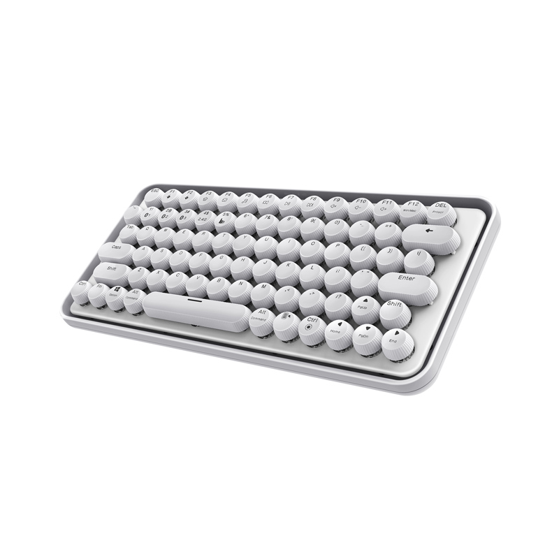 Rapoo Ralemo Pre 5 Wireless Mechanical SILVER Keyboard Price in BD