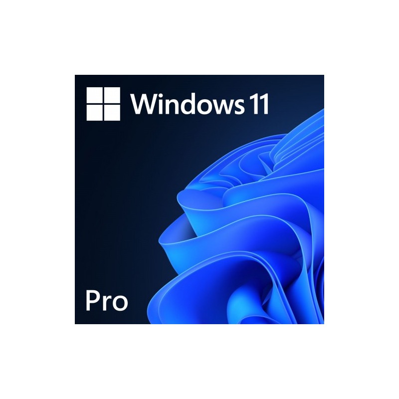 MICROSOFT WINDOWS 11 PROFESSIONAL 64 BIT DVD PRICE IN BD | TECHLAND BD