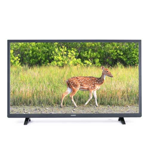 HAIKO HL40D37FU 40 INCH BASIC LED TV PRICE IN BD | TECHLAND BD