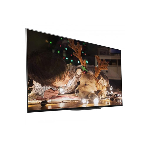 SONY BRAVIA 55A9G 55-INCH OLED 4K TV PRICE IN BD | TECHLAND BD